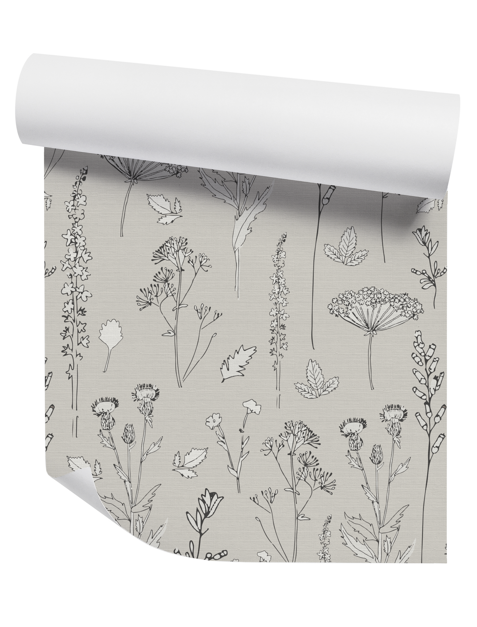 Nature Study on Griege Wallpaper – Willow + Wild Design