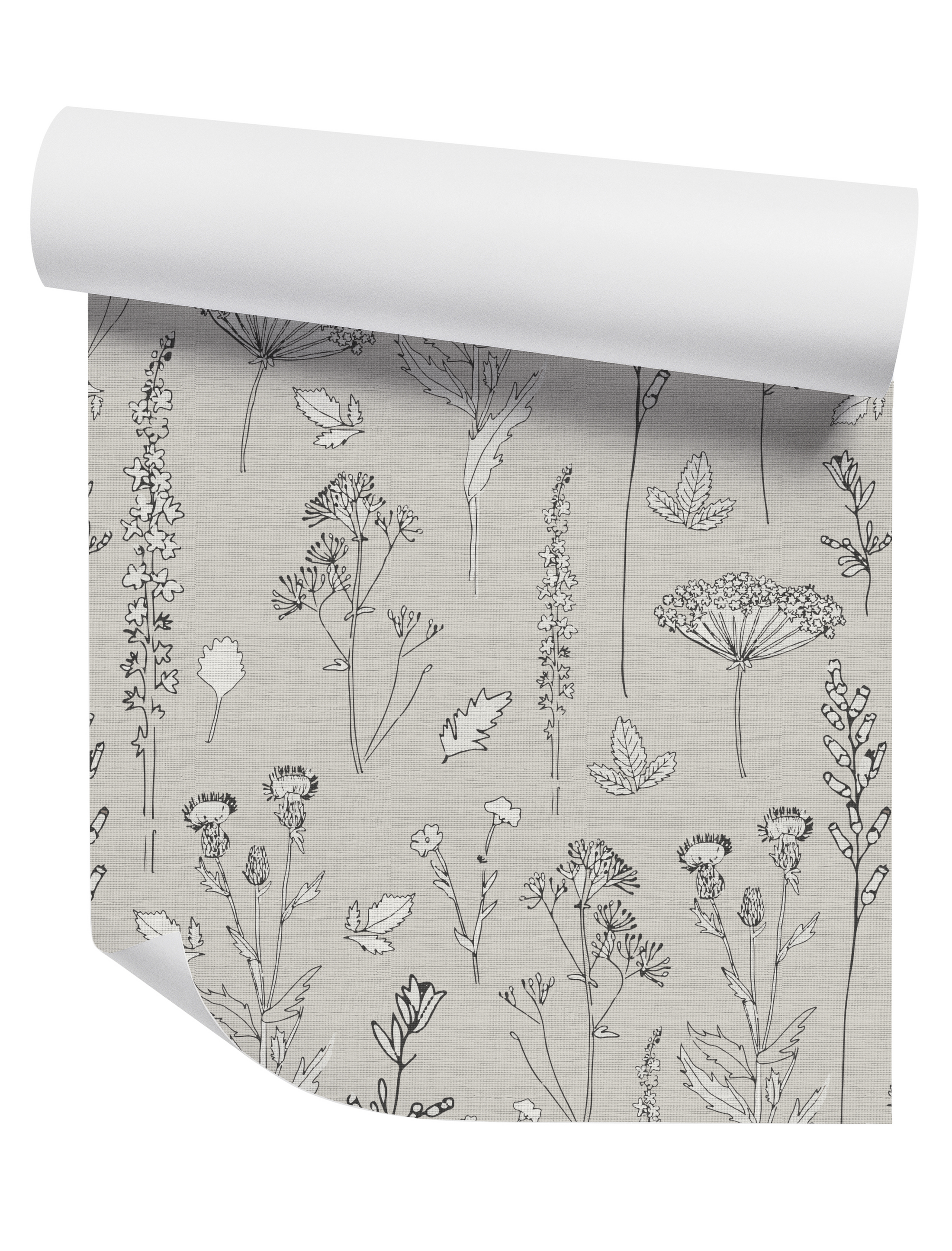 Nature Study on Griege Wallpaper – Willow + Wild Design